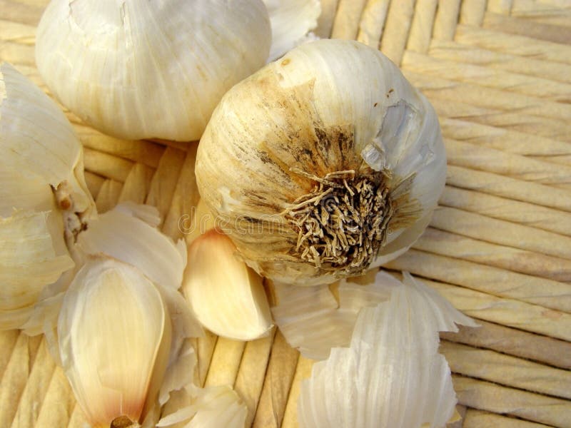 Garlic stock image. Image of garlic, taste, white, cuisine - 20365