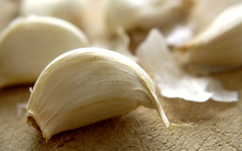 Garlic stock photo. Image of closeup, healthy, life, segment - 20553768