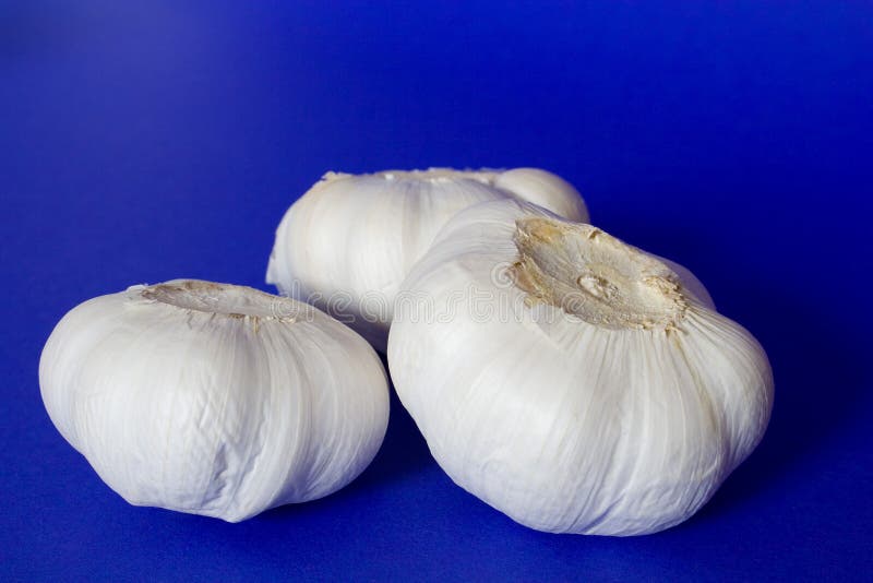 Garlic stock photo. Image of blue, edible, health, kitchen - 2171234