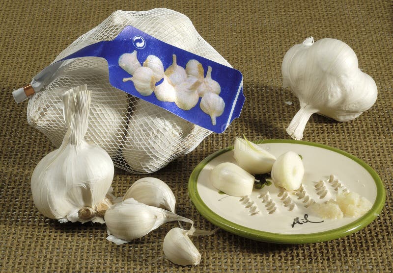 Garlic stock photo. Image of cook, strong, pungent, flavorful - 2279886