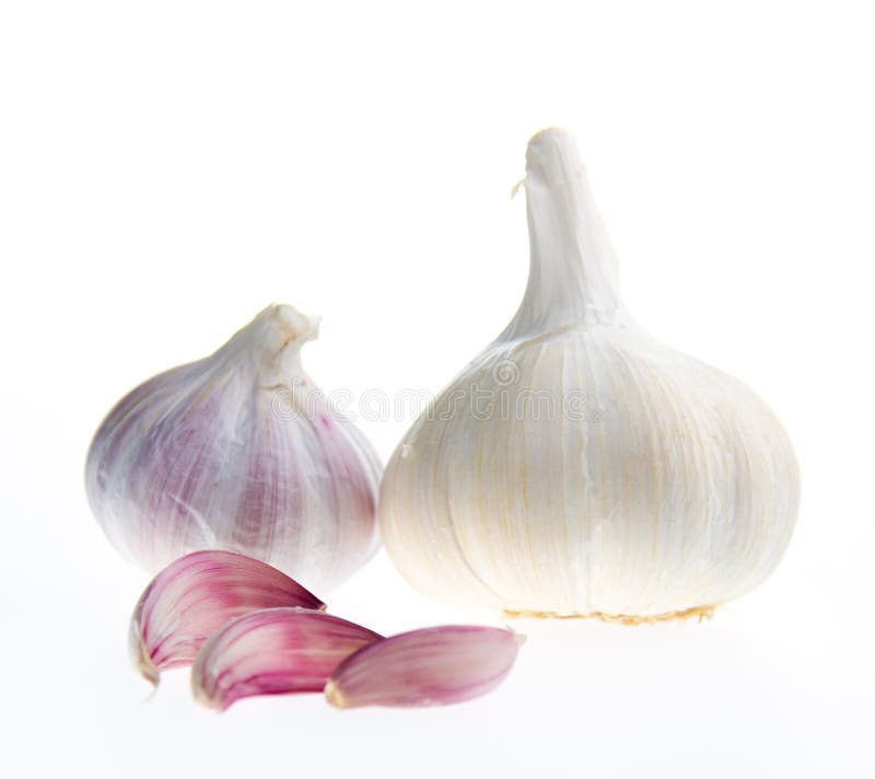 Garlic stock photo. Image of cooking, garlic, spice, flavour - 199274