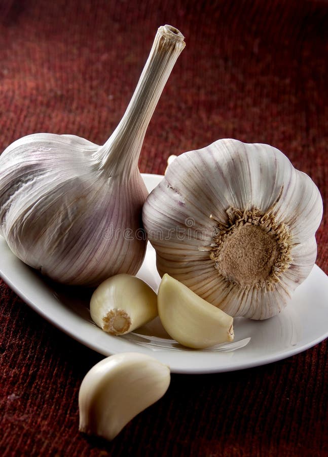Garlic stock photo. Image of root, herb, natural, cook - 23171890
