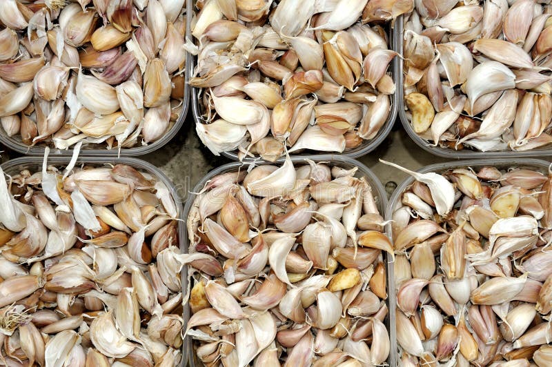 Thai garlic stock photo. Image of kitchen, garlic, recipe - 53329252