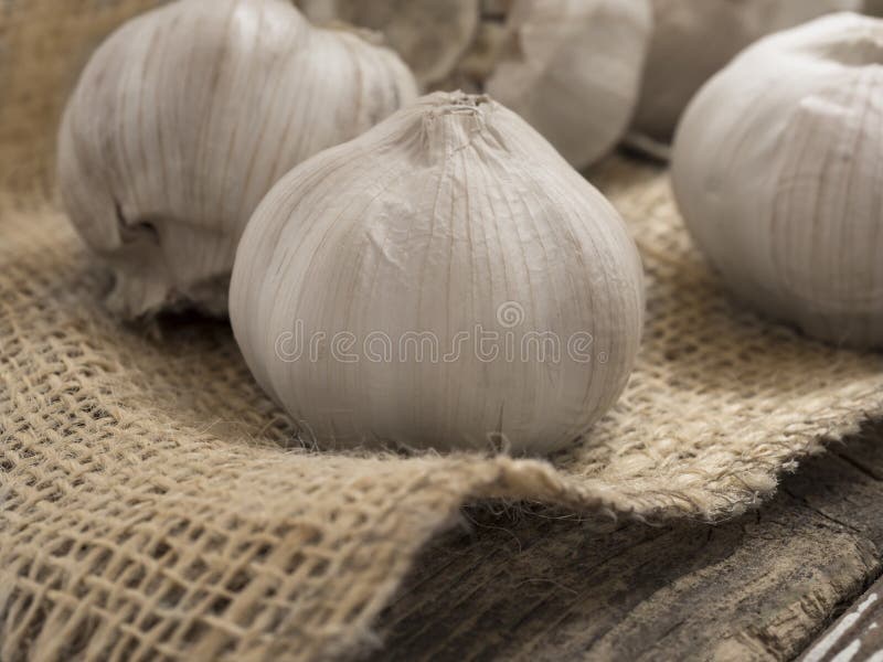 Garlic strand stock image. Image of basket, plant, italian - 55595601