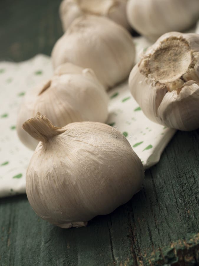 Garlic strand stock image. Image of basket, plant, italian - 55595601