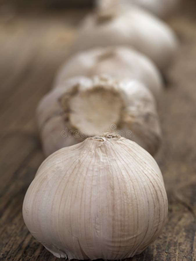Garlic strand stock image. Image of basket, plant, italian - 55595601