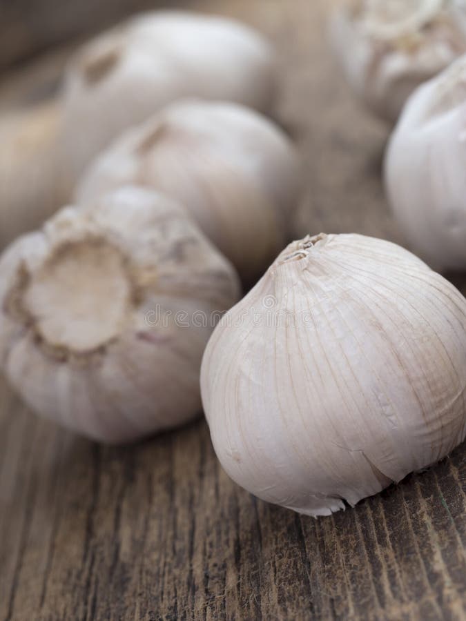 Garlic strand stock image. Image of basket, plant, italian - 55595601