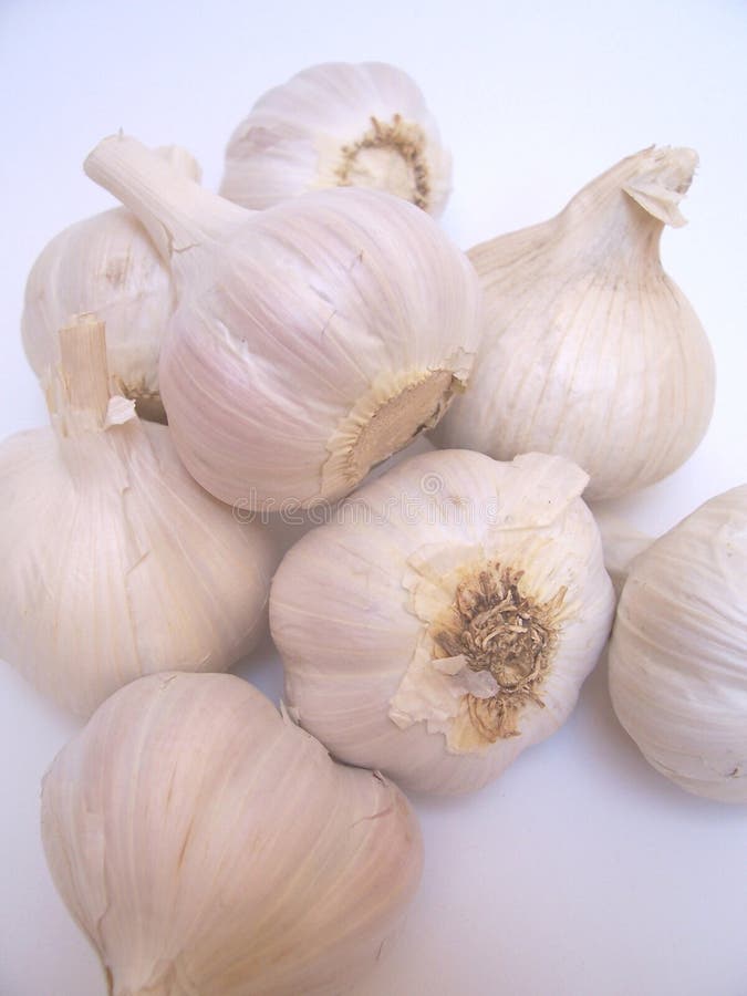 Garlic, Softneck Garlic, Hardneck Garlic, Softneck Garlic, Rocambole ...