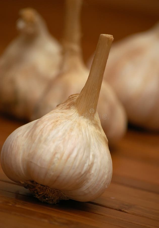 Garlic Picture. Image: 3300049