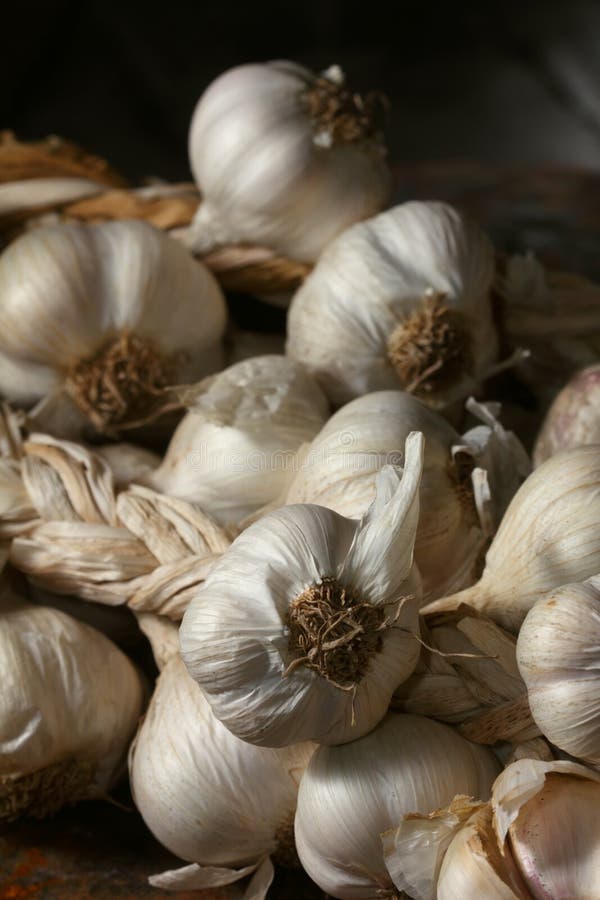 Garlic stock photo. Image of food, gastro, gourmand, ingredients - 37681798
