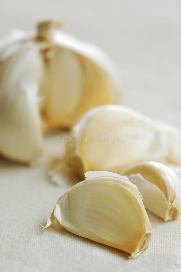 Garlic stock photo. Image of nature, garlic, nutriment - 2132344