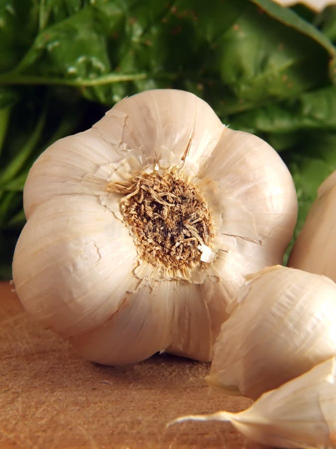 Garlic stock image. Image of herbs, cooking, garlic, culinary - 7194461
