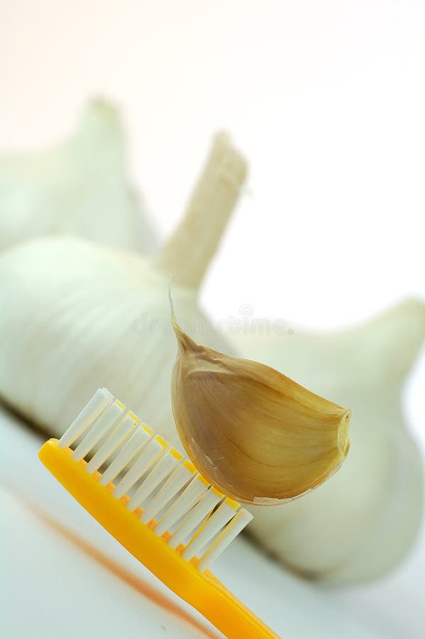 Garlic stock photo. Image of health, toothbrush, spicy - 8053600