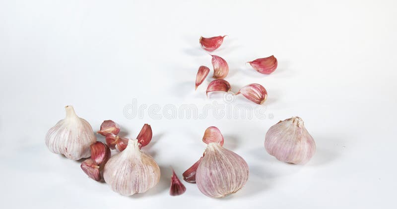 Garlic, Allium Savitum, Falling Against White Background Stock Photo ...