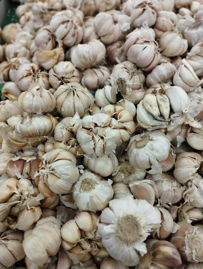 Garlic, an Aromatic Kitchen Spice Stock Photo - Image of vegetable ...