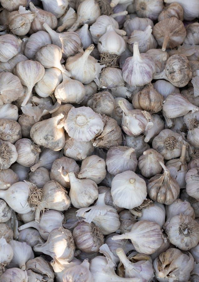 Garlic As Background and Texture Stock Image - Image of garlic, health ...