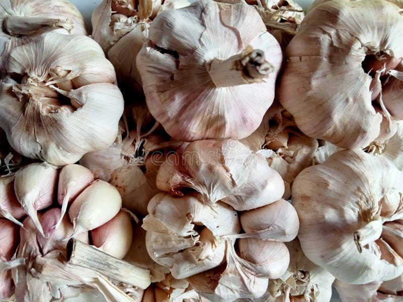 Garlic as a cooking spice stock image. Image of quail - 313989871