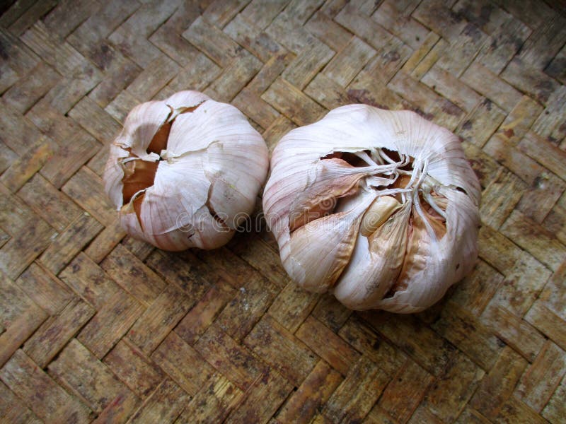 Garlic stock photo. Image of flower, mushroom, brown - 268981784