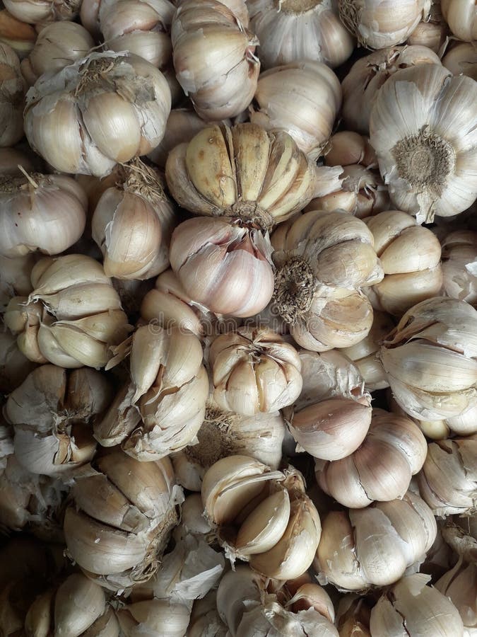 Garlic As a Spice in Indonesia Stock Photo - Image of dish ...
