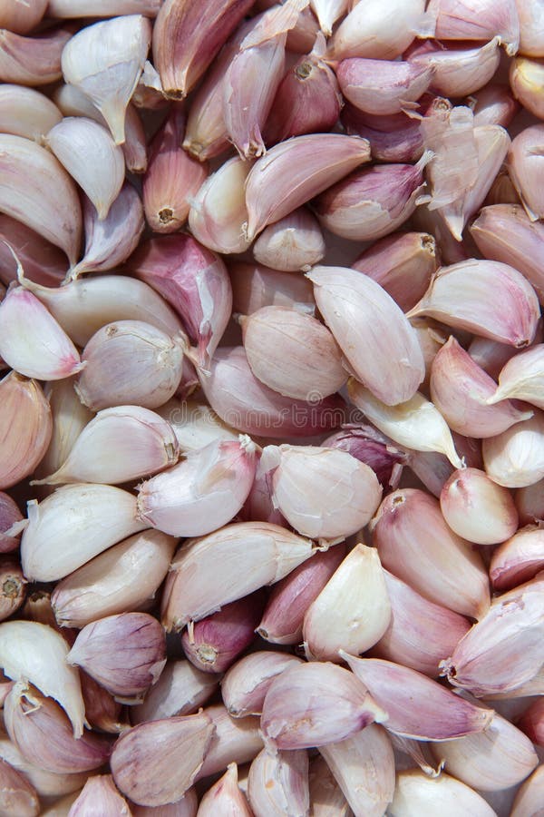 Garlic background stock photo. Image of natural, grocery - 27955390