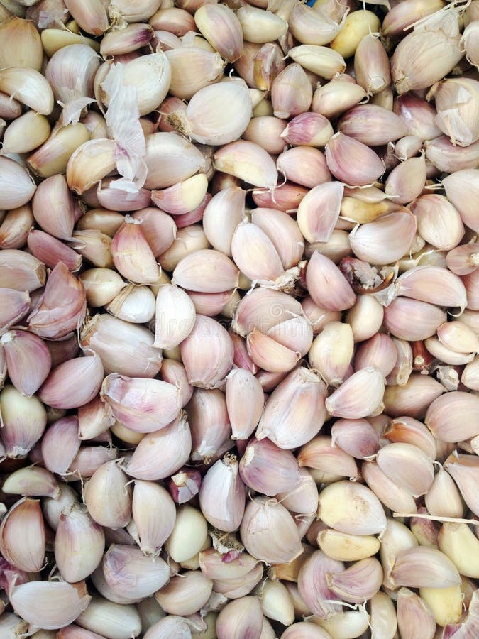 Garlic background stock image. Image of objects, herb - 50496385