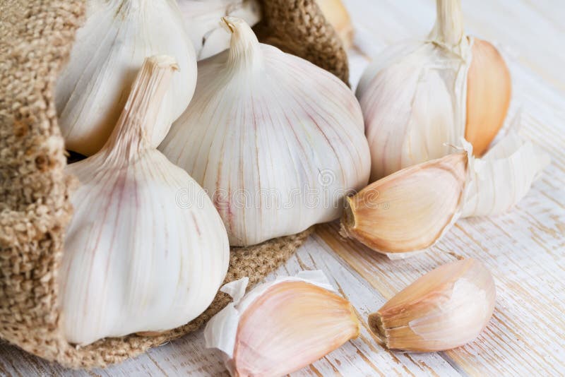 Garlic in a bag stock photo. Image of autumn, burlap - 34190028