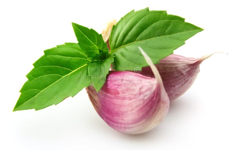 Garlic and basil stock photo. Image of ingredients, healthy - 19750196