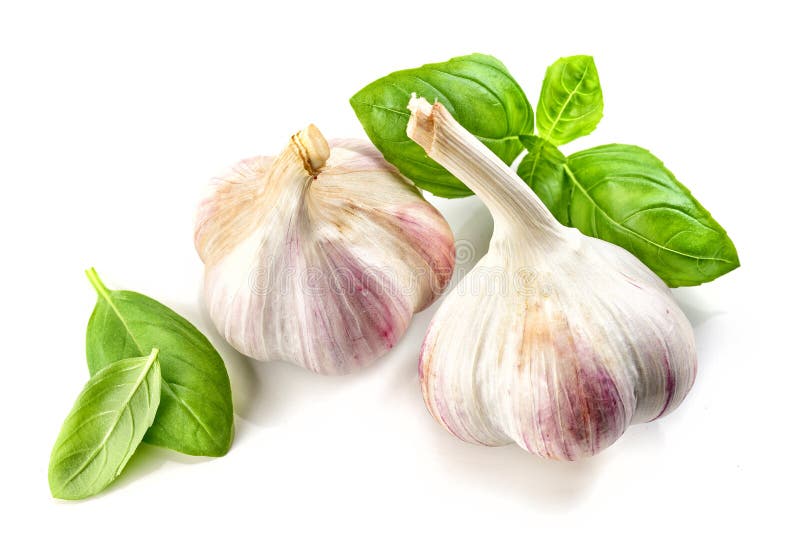 Garlic and basil stock photo. Image of background, white - 20625092