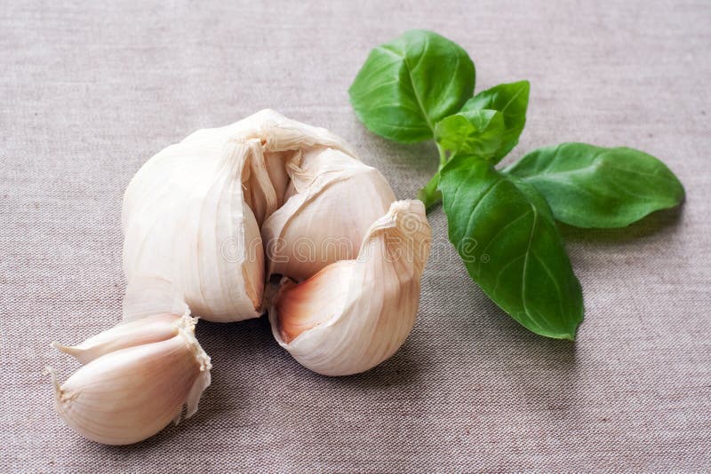 Garlic and Basil, Sitll Life. Stock Image - Image of condiment, garlic ...
