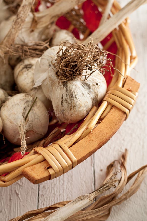 Garlic in a Basket stock photo. Image of vegetable, rustic - 20668244
