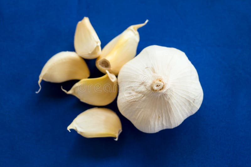 Garlic on a Blue Background. Stock Photo - Image of slate, plant: 36486530