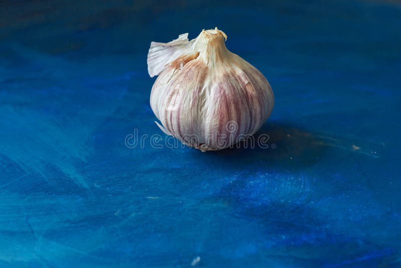 Garlic on a Blue Background Stock Image - Image of garlic, bulb: 182018431