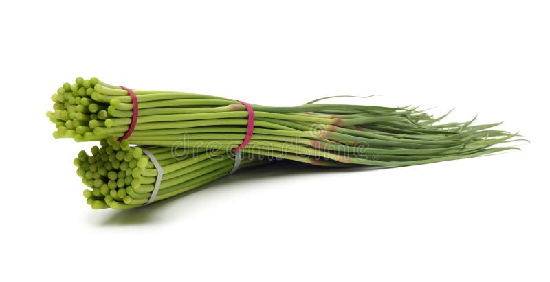 Garlic bolt stock photo. Image of ingredients, grass - 179632620