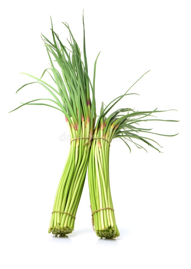 Cauliflower stock photo. Image of cultivar, agriculture - 53392858