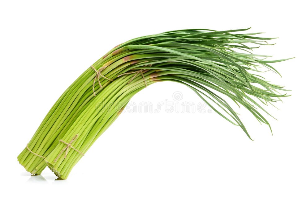 Garlic bolt stock photo. Image of national, green, farming - 67392792