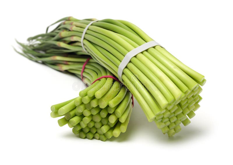 Garlic bolt stock photo. Image of gardening, beliefs - 179632520