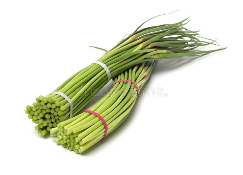 Garlic bolt stock photo. Image of ingredients, grass - 179632620