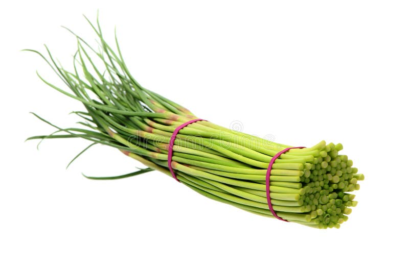 Garlic bolt stock image. Image of farming, ingredients - 181248895
