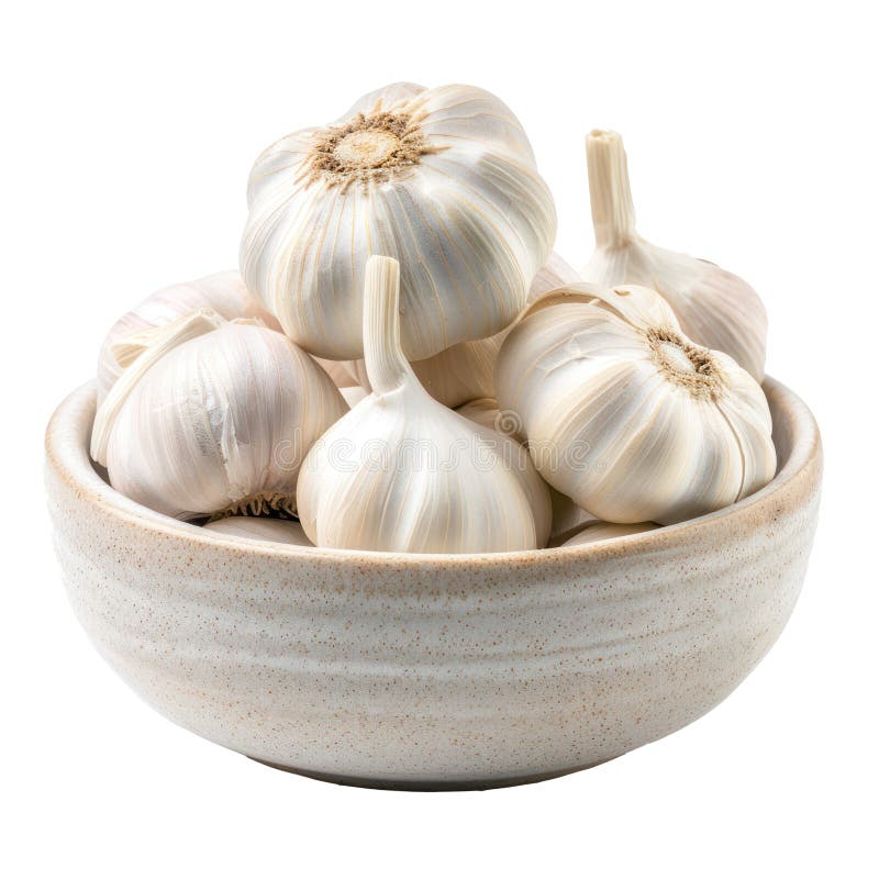 Garlic in a Bowl Front View Isolate Stock Illustration - Illustration ...