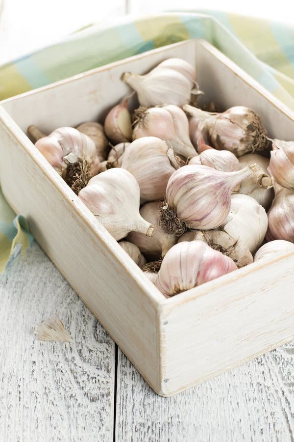 Home & Living Jars & Containers Garlic Box #4 etna.com.pe