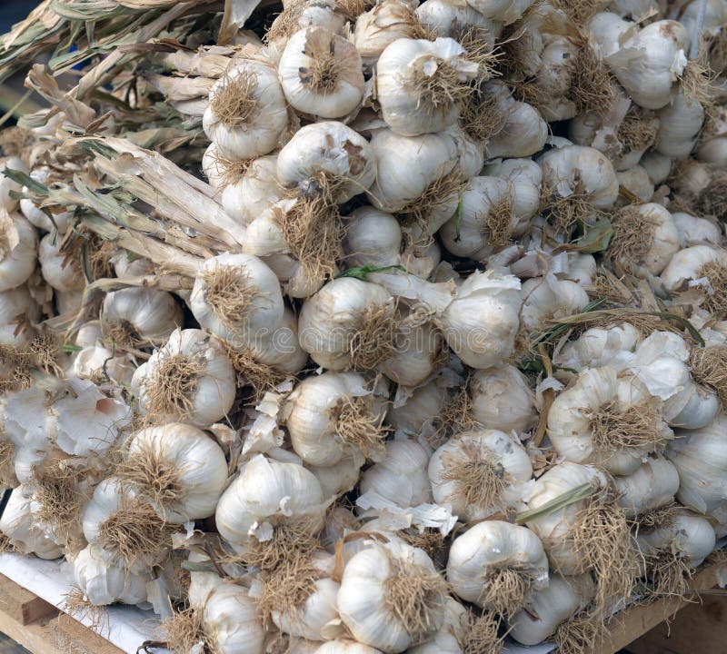 6,963 Garlic Box Stock Photos - Free & Royalty-Free Stock Photos from ...