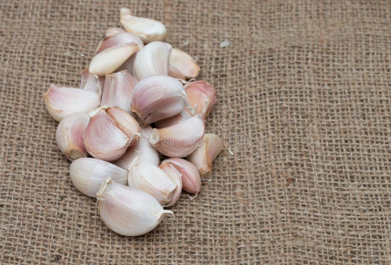 Garlic on brown sack stock photo. Image of white, garlic - 62502988
