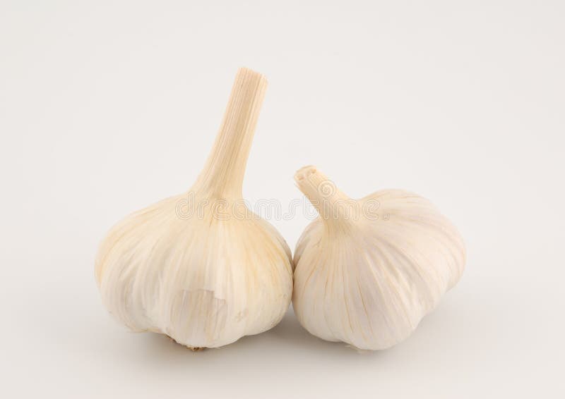 Garlic Bulb stock image. Image of healthy, gourmet, closeup - 11171229