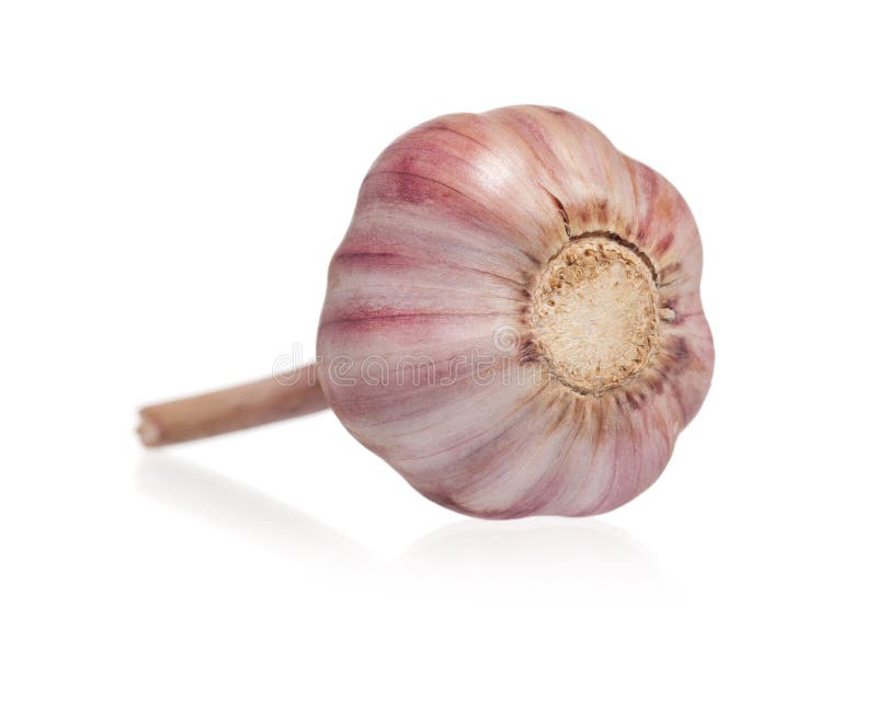 Garlic Head and Cloves with Stalk Stock Image - Image of herb ...
