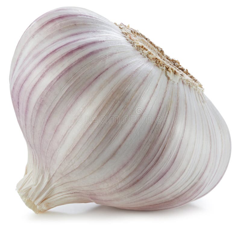 Garlic bulb clipping path stock image. Image of object - 383563387