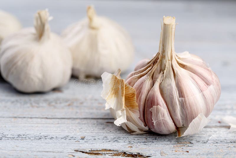 Garlic Bulb stock image. Image of vintage, wood, rustic - 143408735