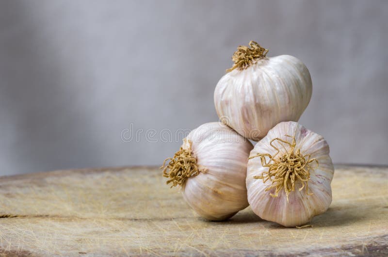 Garlic stock image. Image of aromatic, nutrition, natural - 71700129