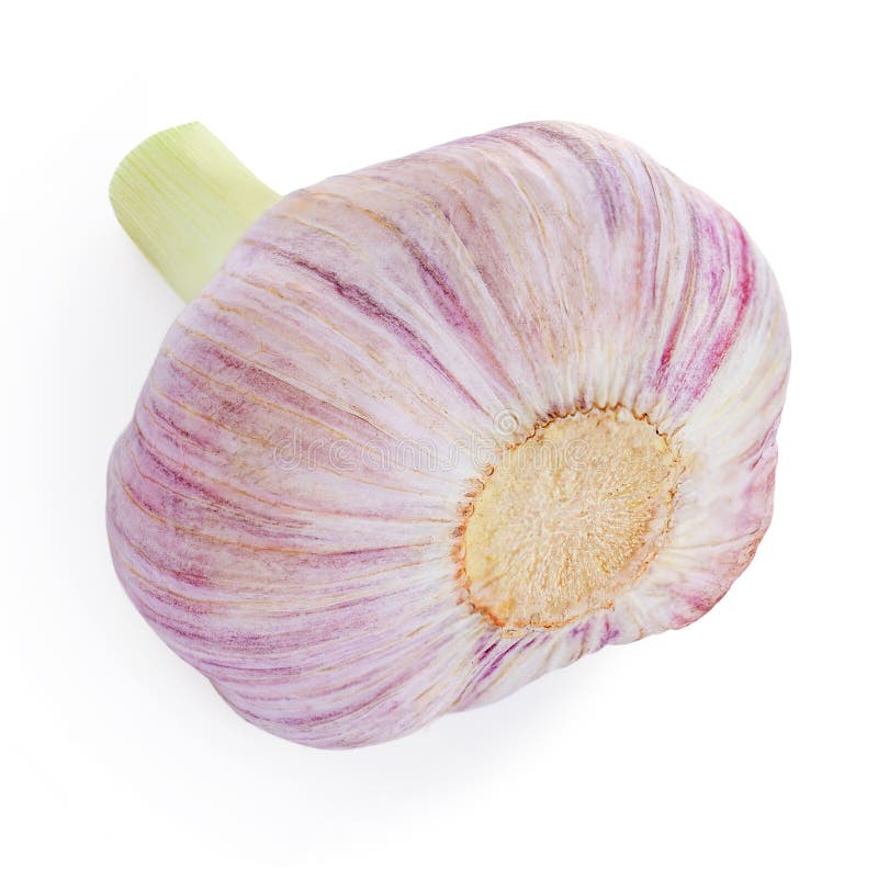 Garlic Bulb Isolated. Garlic on White Background Closeup. Unpeeled ...