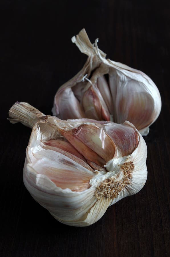 Garlic bulb stock image. Image of health, foods, spicy - 63174675