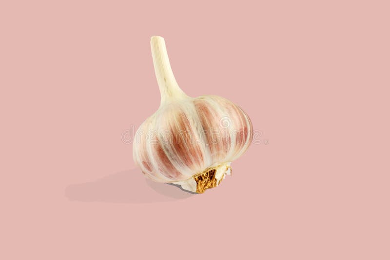 Spice Presente Stock Photos - Free & Royalty-Free Stock Photos from ...